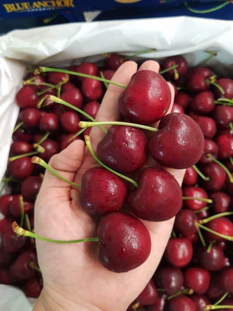 เชอร์รี่ชิลี Red cherry Chile 1kg หวาน อร่อย จัดโปรราคาพิเศษ | Lazada.co.th