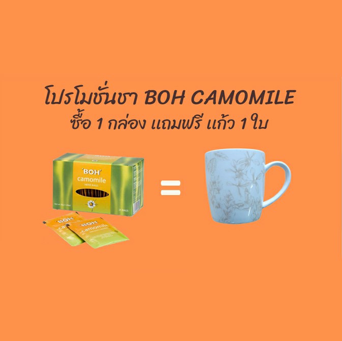 BOH Peppermint Tea 1x25teabag x2g.(ชาสมุนไพรเปปเปอร์มินท์(ชาสาระแหน่ ...