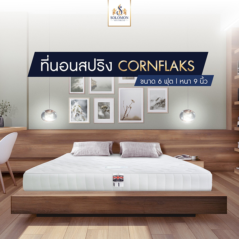 【VC Bed】Solomon ที่นอนสปริง หุ้มผ้านุ่มขนนก สีขาว รุ่น Cornflaks 2 คิ้ว หนา 9 นิ้ว - VC Bed ...