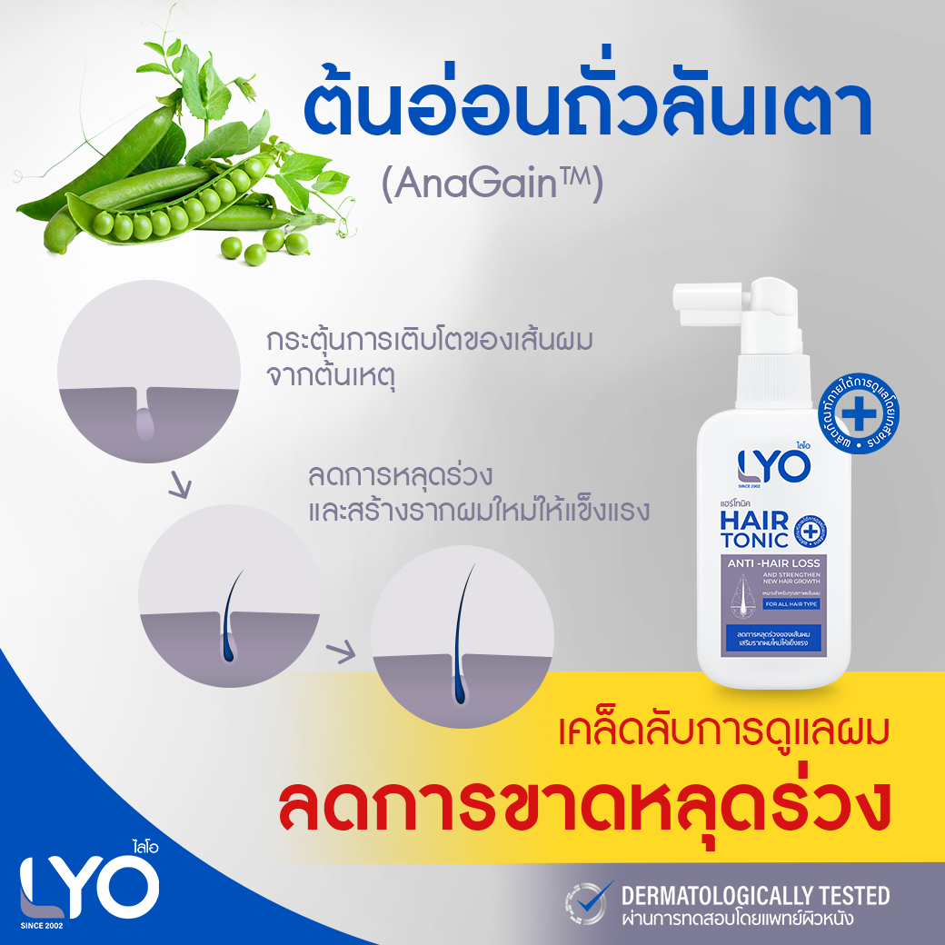 LYO 1แถม3 เซ็ทเซรั่มปลูกผม หนุ่มกรรชัย ไลโอแฮร์โทนิค แชมพู ครีมนวดผม ลดผมร่วง ผมบาง ลดรังแค ...