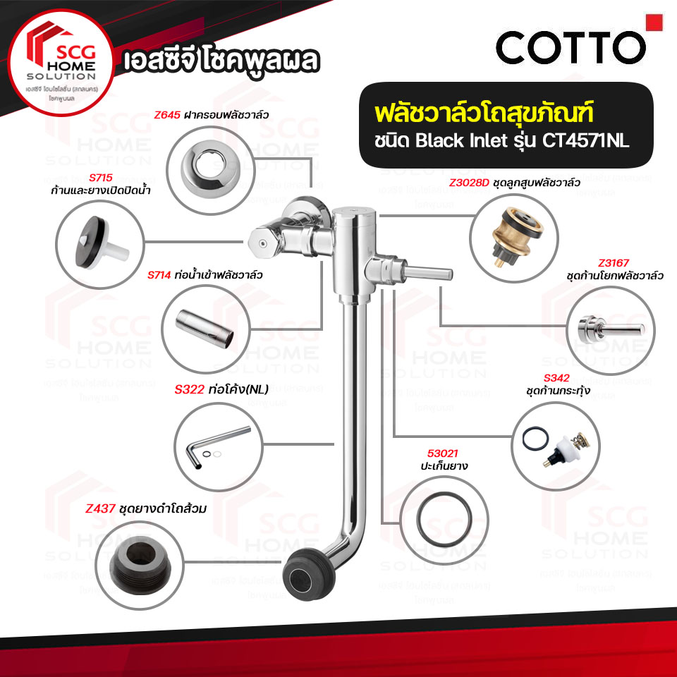 COTTO CT4571NL ฟลัชวาล์วโถสุขภัณฑ์ | Lazada.co.th