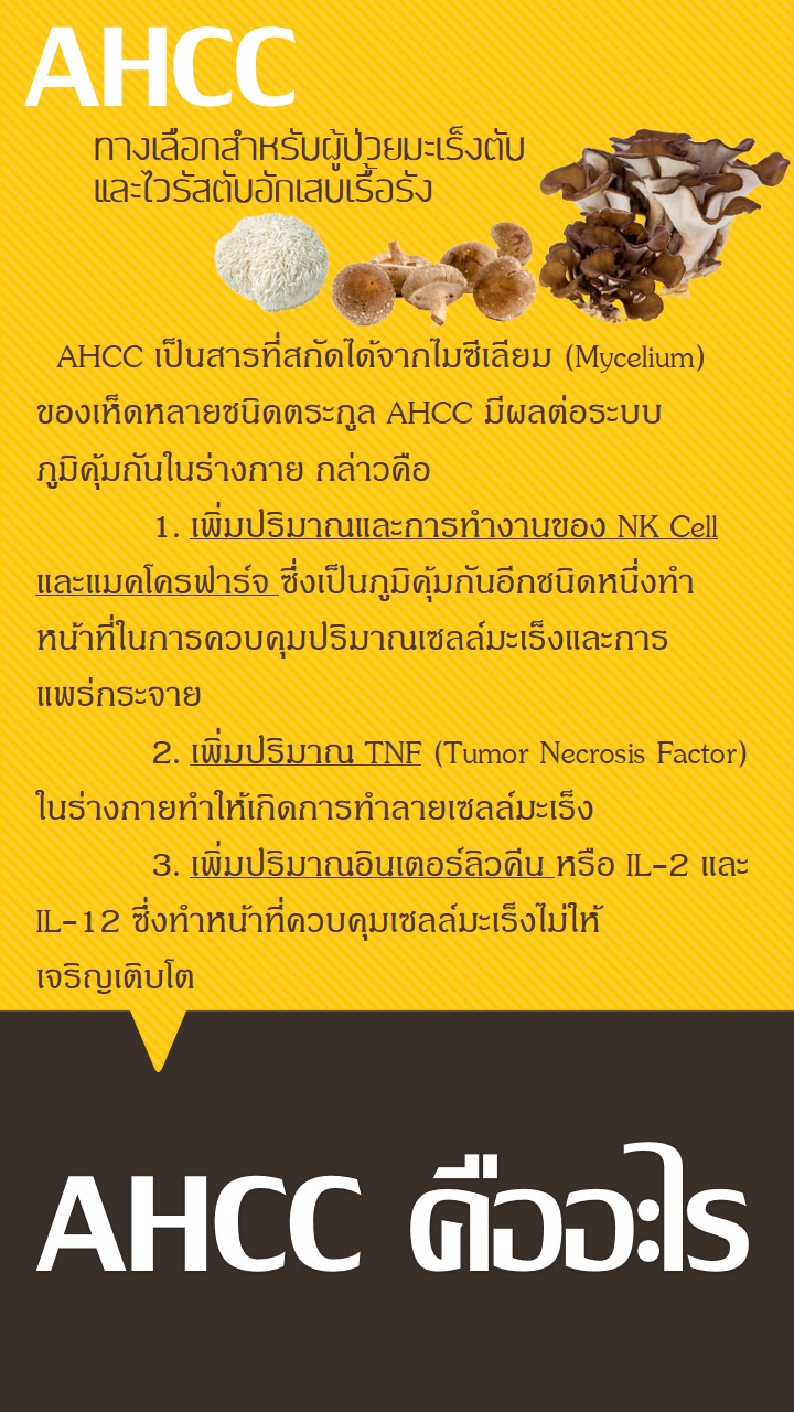 เอเอชซีซี สารสกัดจากเห็ดญี่ปุ่น Kinoko Silver AHCC 250 mg 60 Vegicaps ...