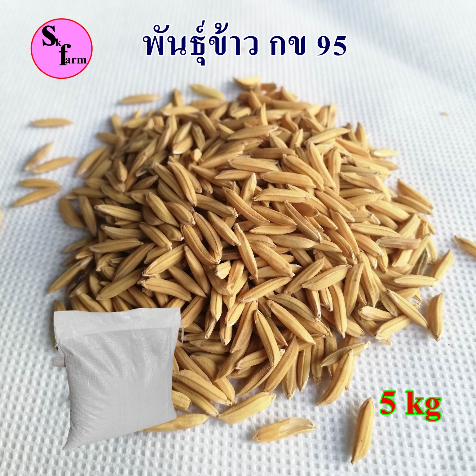 โปรใหม่ พันธุ์ข้าวดกเจ้าพระยา กข 95ชุดทดลองปลูก 10 kg ชั้นพันธุ์ขยาย ...