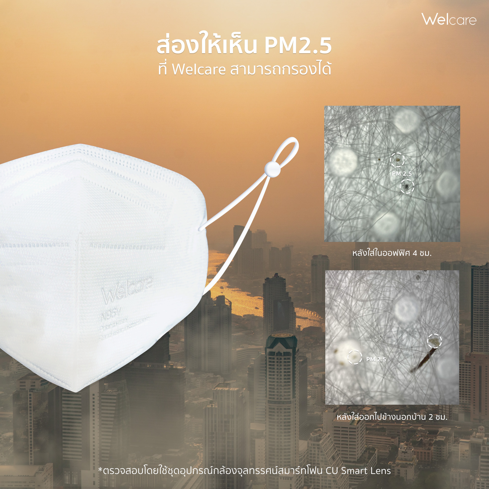 Welcare Official Welcare N95 FACE MASK หน้ากากป้องกันฝุ่น 1 กล่อง 20 ชิ้น - Welcare Thailand ...