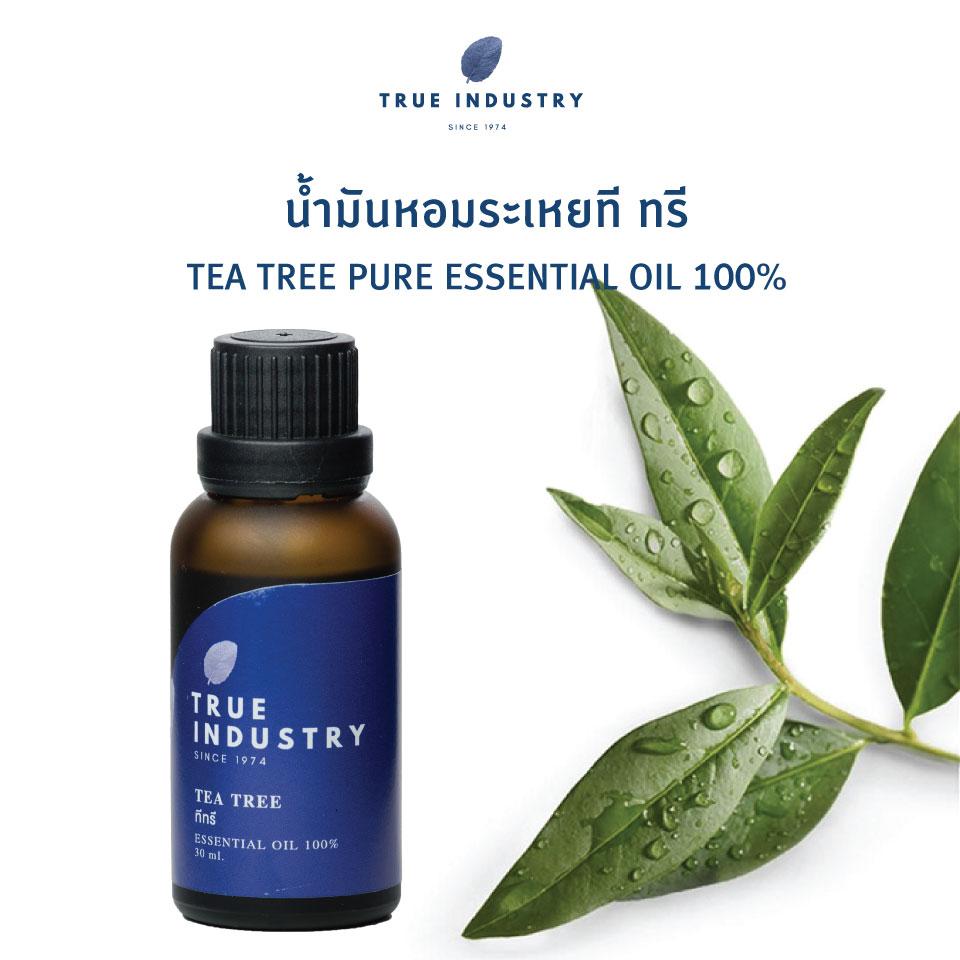 True industry น้ำมันหอมระเหย 100 % ทีทรี (Tea tree Essential Oils ...