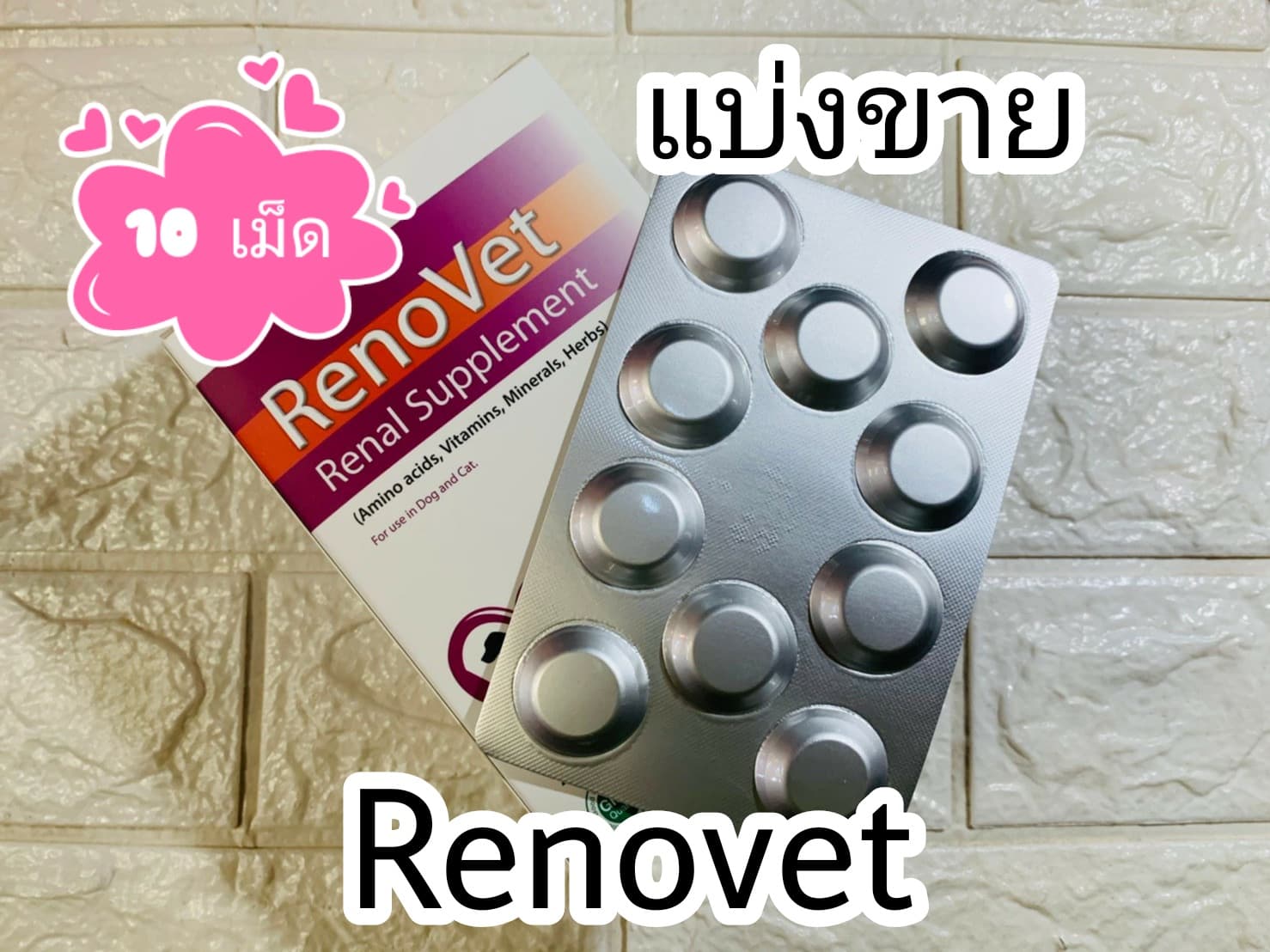 ( 1 แผง 10 เม็ด) Renovet Renal Supplement 10 เม็ด อาหารเสริมบำรุงไต ...