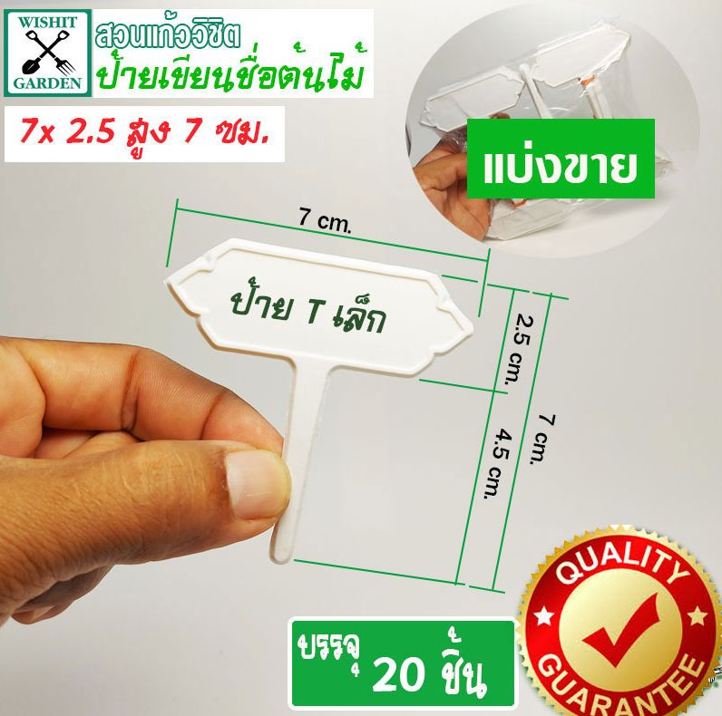 ป้ายเขียนชื่อต้นไม้ ทรงตัวที ขนาดเล็ก 1 ชุด บรรจุ 20 ชิ้น | Lazada.co.th