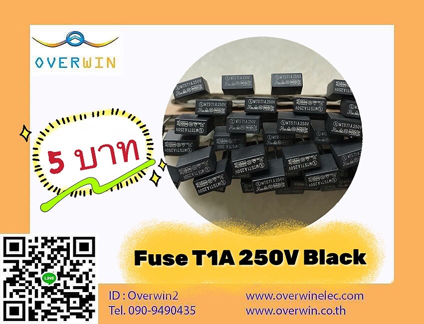 Fuse T1A 250V Black. (1 ชุด มี 10 ตัว) | Lazada.co.th