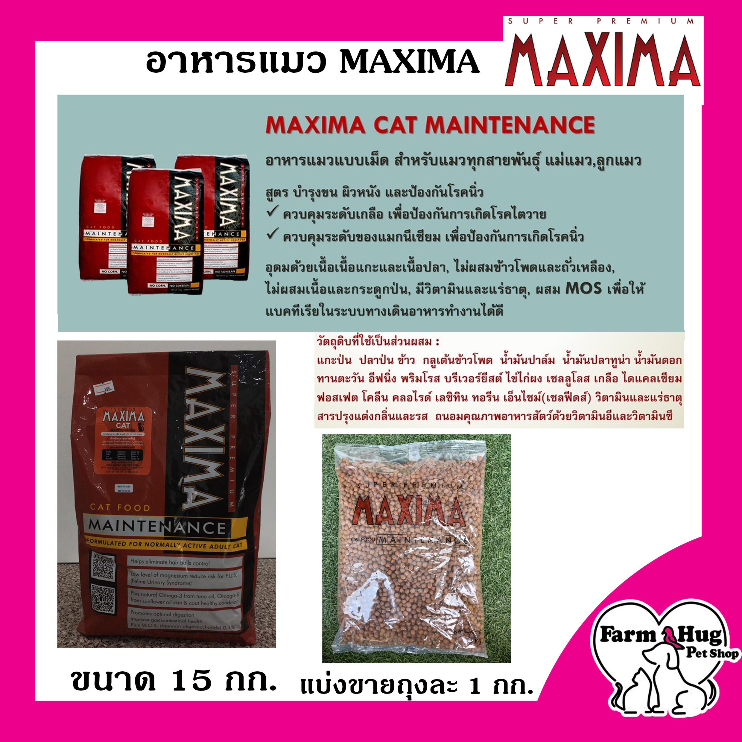 Maxima cat | Lazada.co.th