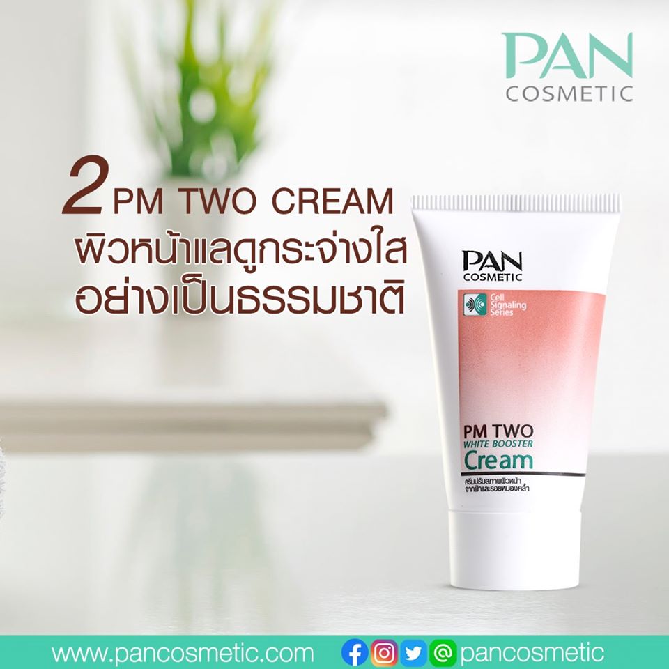 PAN COSMETIC WHITE BOOSTER CREAM PM2 25g.(แพ็คคู่) - Wonderfulbeauty ...