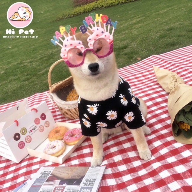 Hi Pet Pet flower sunglasses แว่นตาน้องหมา น้องแมวps0030 - Hi Pet House ...