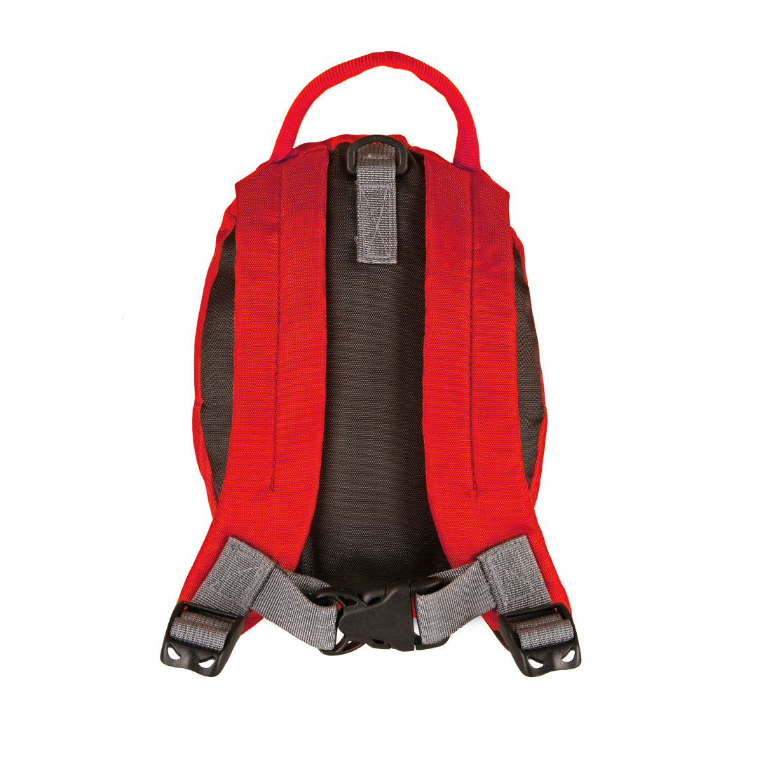 LittleLife เป้จูงเด็ก ลายเต่าทอง สำหรับเด็ก 1-3 ปี (LittleLife Ladybird ...