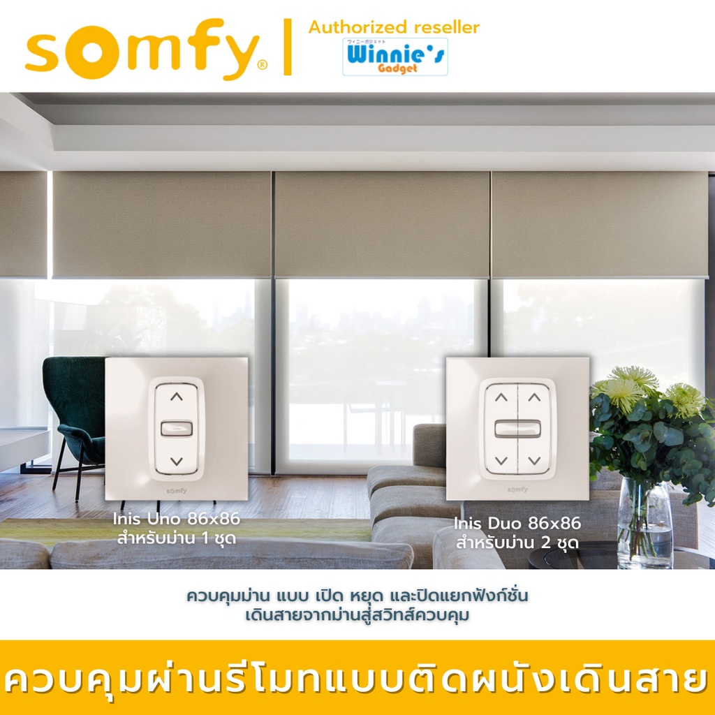 Somfy MOVELITE 35 RTS มอเตอร์ไฟฟ้าสำหรับม่านจีบ มอเตอร์อันดับ 1 นำเข้าจากฟรั่งเศส - Winnies ...
