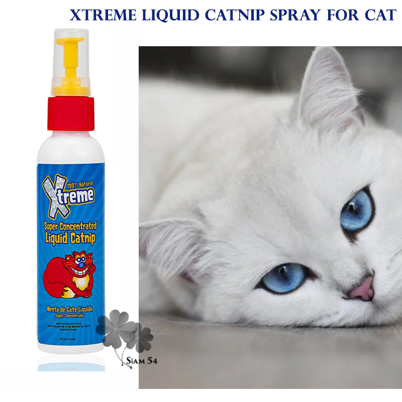 Xtreme (เอ็กซ์ตรีม) Liquid Catnip Spray for Cat แคทนิปสเปรย์ สำหรับแมว ...