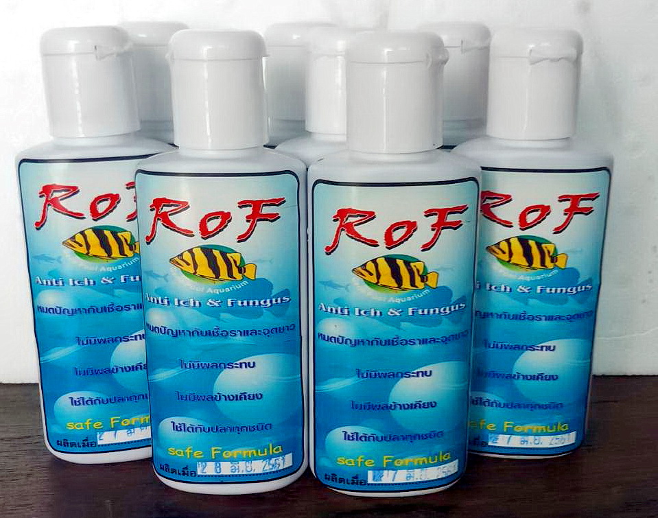 RoF Anti Ich & Fungus สำหรับเชื้อรา จุดขาว พักปลา ปลอดภัยกับปลาทุกชนิด ...