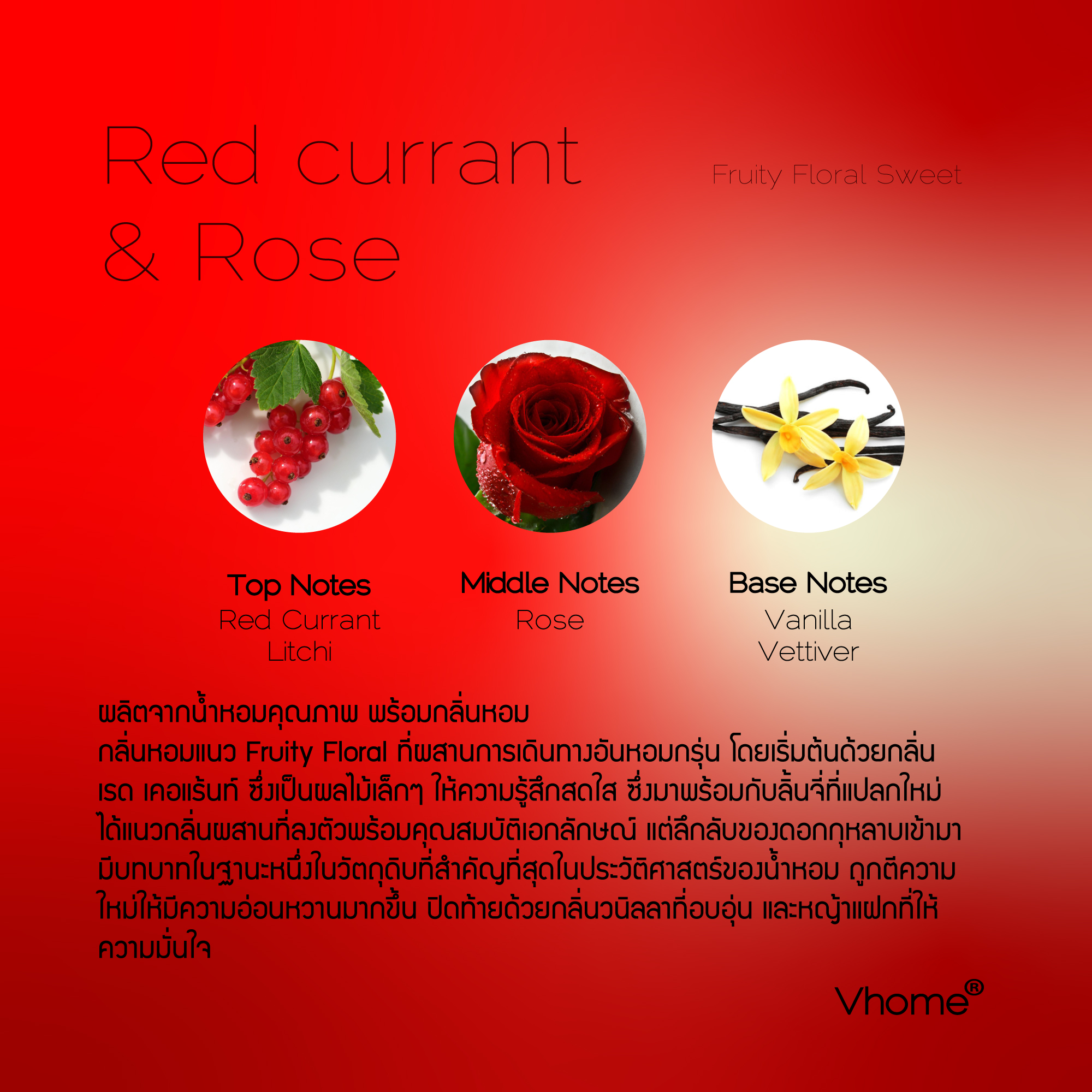 Red Currant & Rose Perfume Candle(300g/10.14 oz (45 - 55 hours) Double ...