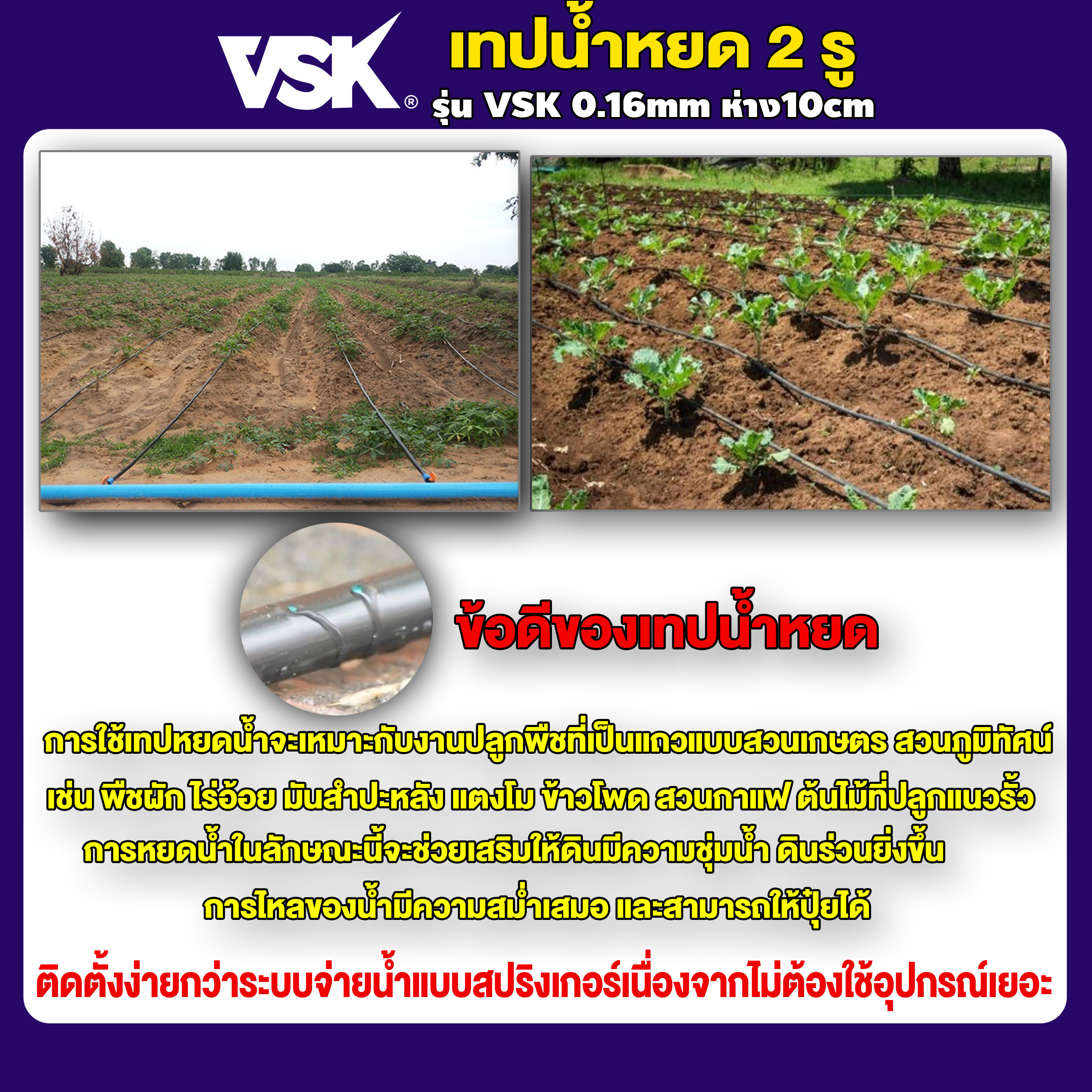 VSK DRIP TAPE เทปน้ำหยด ระยะห่าง10ซม. (2รู) หนา0.16มม. (1000 เมตรเต็ม) แข็งแรง ทนทาน เทปน้ำหยด10 ...