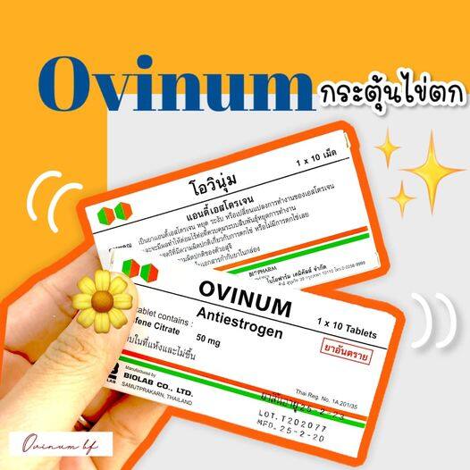 **พร้อมส่งทันทีคะ** OVINUM - โอวินุ่ม ???? ️ แผงละ 10 เม็ด สำหรับคนอยาก ...