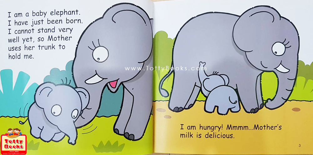 Totty Books (3 - 7 ขวบ) นิทานฝึกอ่าน ชุดวงจรชีวิตสัตว์ 10 เล่ม Hello ...