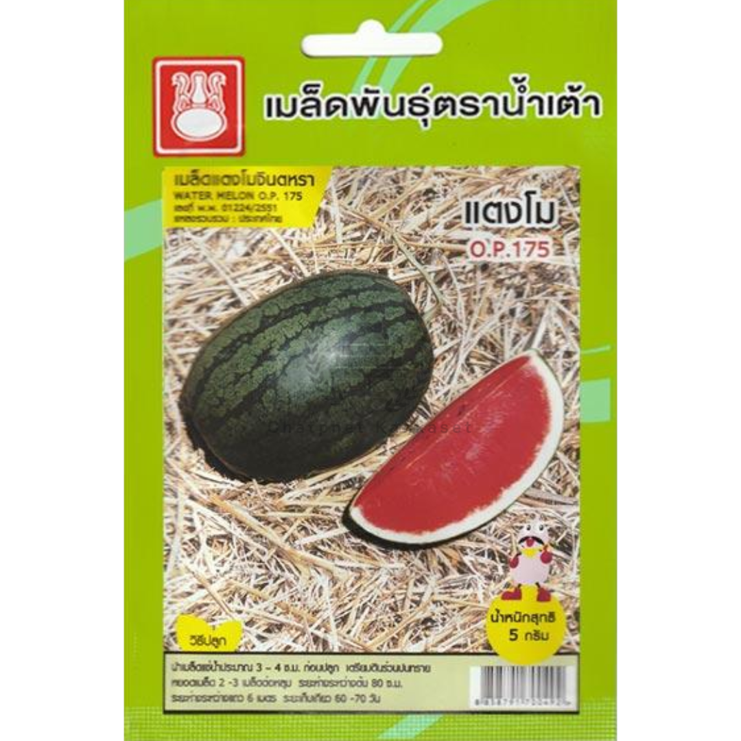 เมล็ดพันธุ์ แตงโมจินตหรา O.P. 175 ตราน้ำเต้า | Lazada.co.th