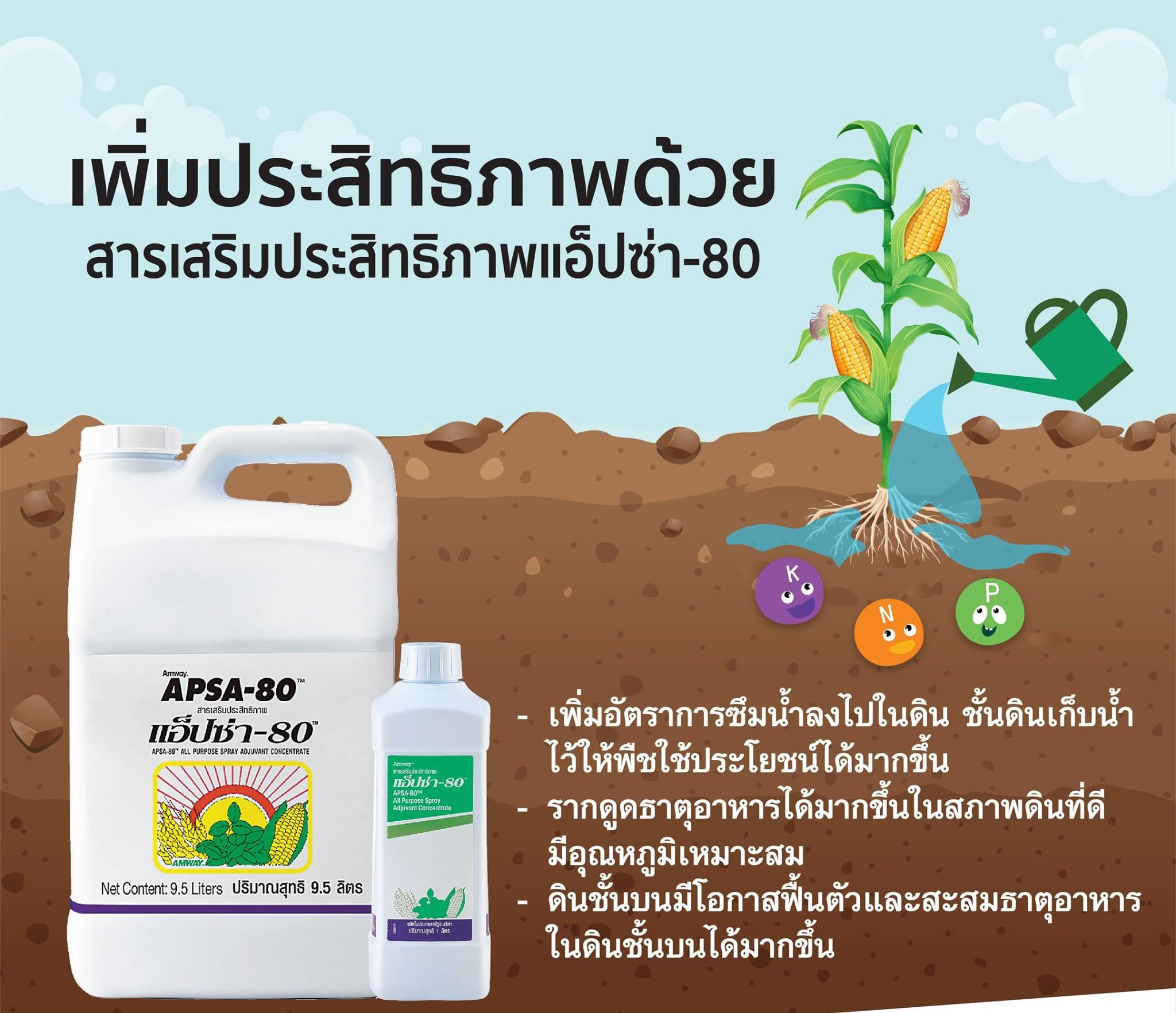 Apsa-80 แอ็ปซ่า สารเพิ่มประสิทธิภาพ สารจับใบ amway แอมเวย์ แอ็ปซ่า-80 ...