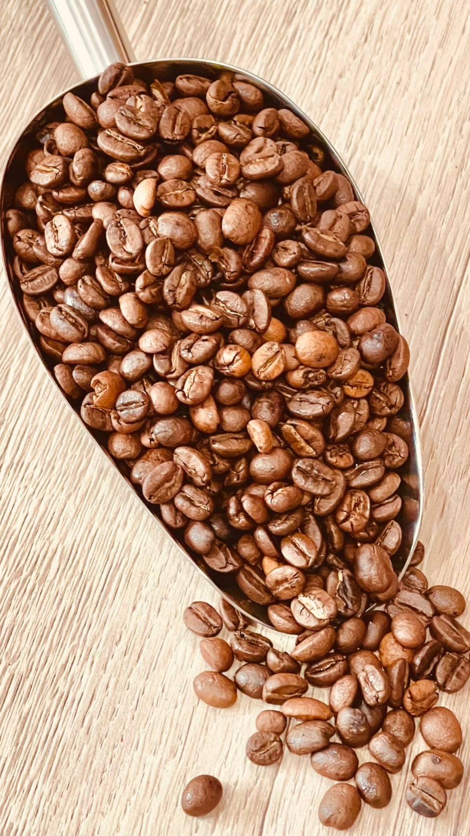 Rabika เมล็ดกาแฟคั่ว เกรดพรีเมียม คลาสสิค บรรจุ 500 กรัม (คั่วอ่อน ...