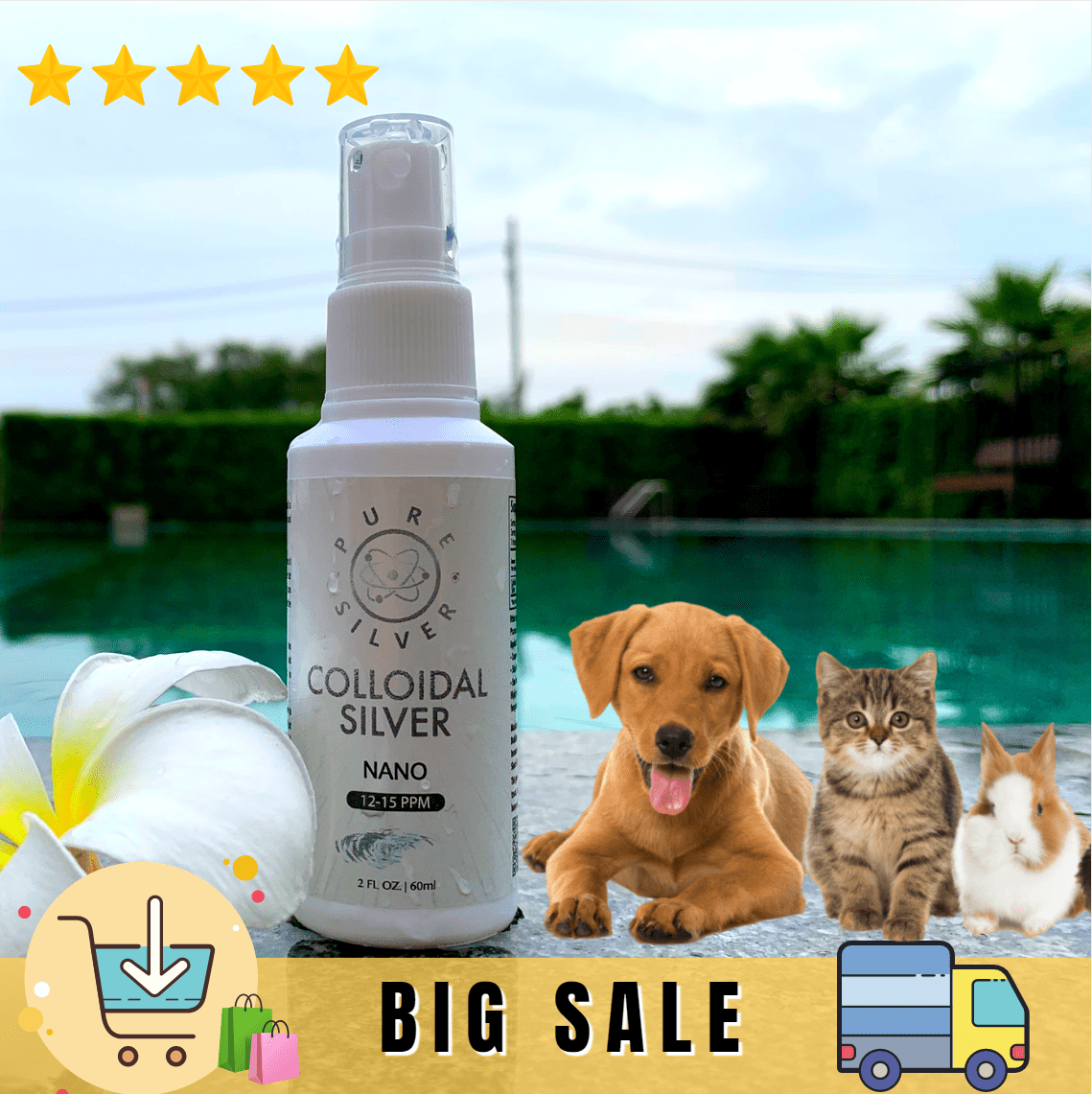 Silver Nano Spray (ซิลเวอร์ นาโน สเปรย์) 60 ml, Pet Wound Healing ...