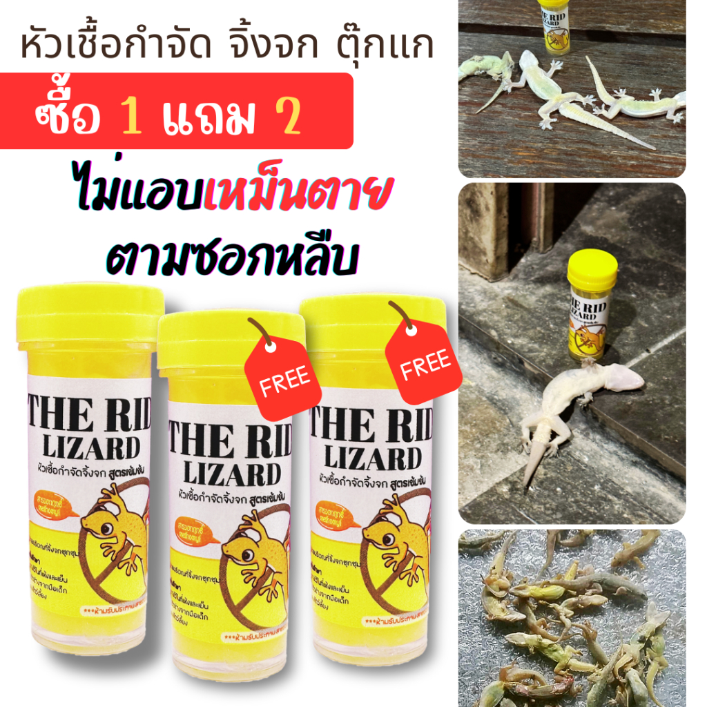 โปร 3 หลอด The Rid Lizard เจลหัวเชื้อกำจัดจิ้งจก ตุ๊กแก สูตรเห็นผลทันที ...