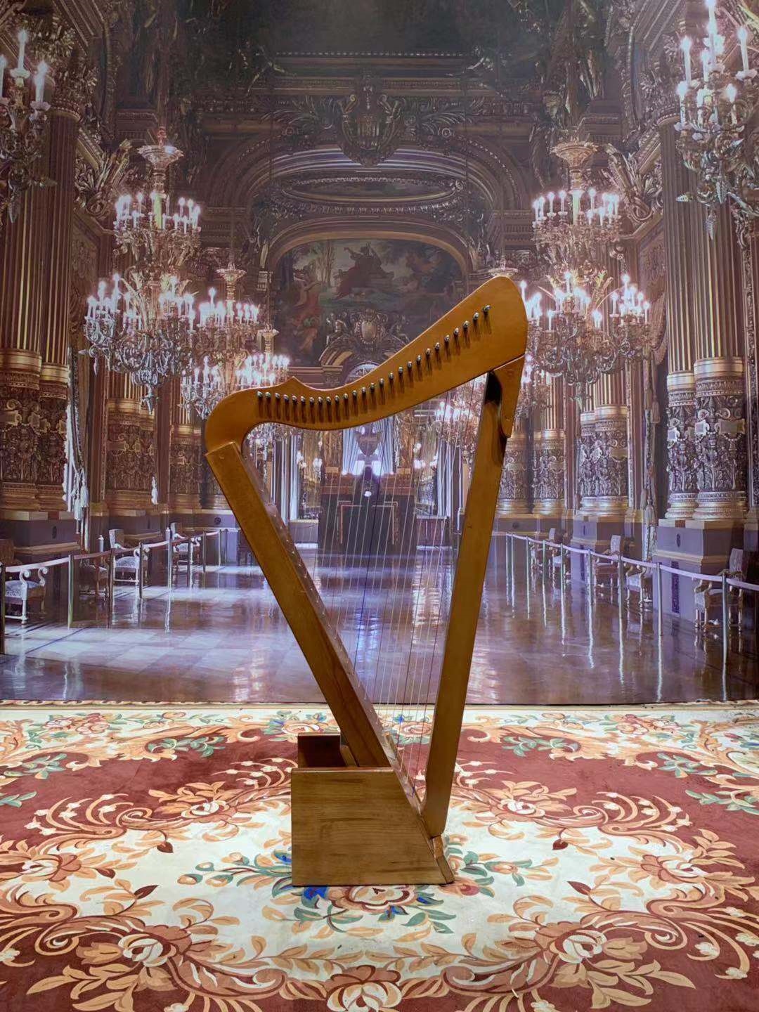 Universal melody small harp Celtic harp 26 strings 3 8 degrees travel ...