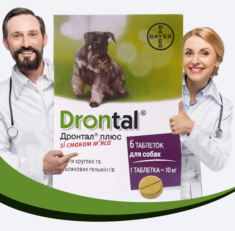 Drontal Plus Bayer Exp.04/2026 Drontal Plus เม็ดรสเนื้อสุนัข (6 ชิ้น ...
