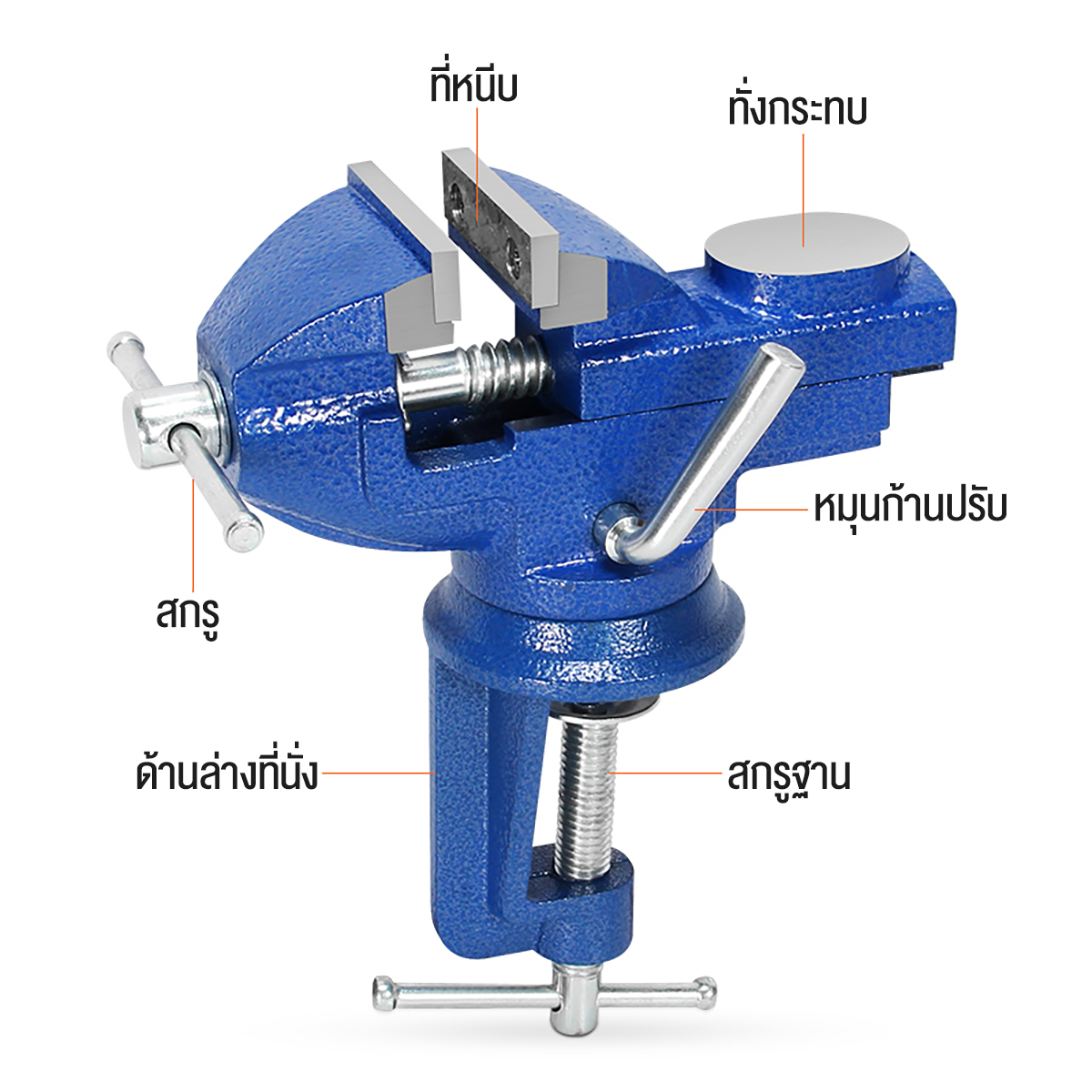 (พร้อมส่ง) แคล้มป์หนีบชิ้นงาน bench vise table clamp knobสำหรับงานไม ...