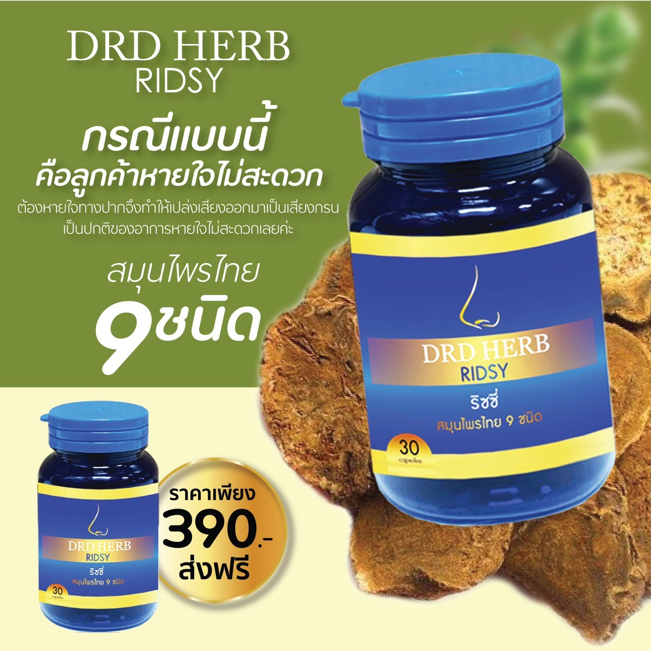 ริดซี่ DRD Herb Ridsy ริซซี่ สมุนไพร 9 ชนิด ริดซี่สมุนไพร จมูก น้ำมูกไหล ไอ จาม ภูมิแพ้ 1 กระปุก ...