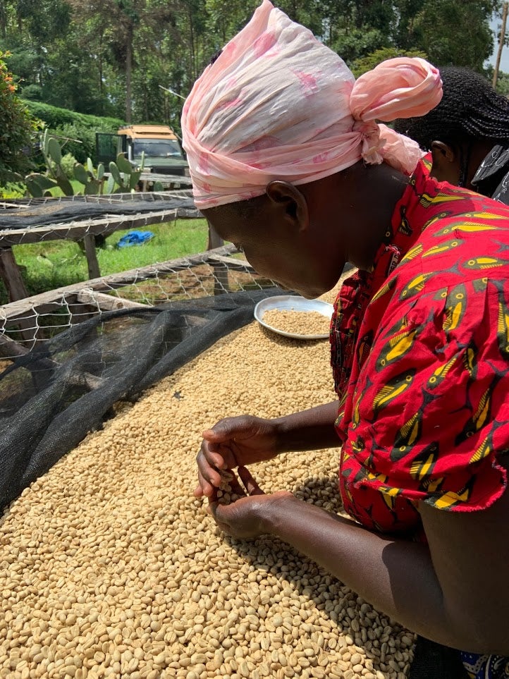 Mwithu Estate Meru AA Kenya, Fully washed ขนาด 200 กรัม คั่วอ่อน ...