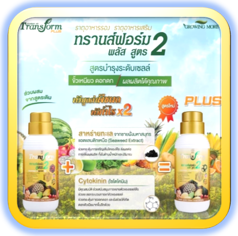 (TRANSFORM PLUS 2 ทรานส์ฟอร์ม พลัส 2) ต้นทุนลด ผลผลิตดี มีเงินเหลือ ...