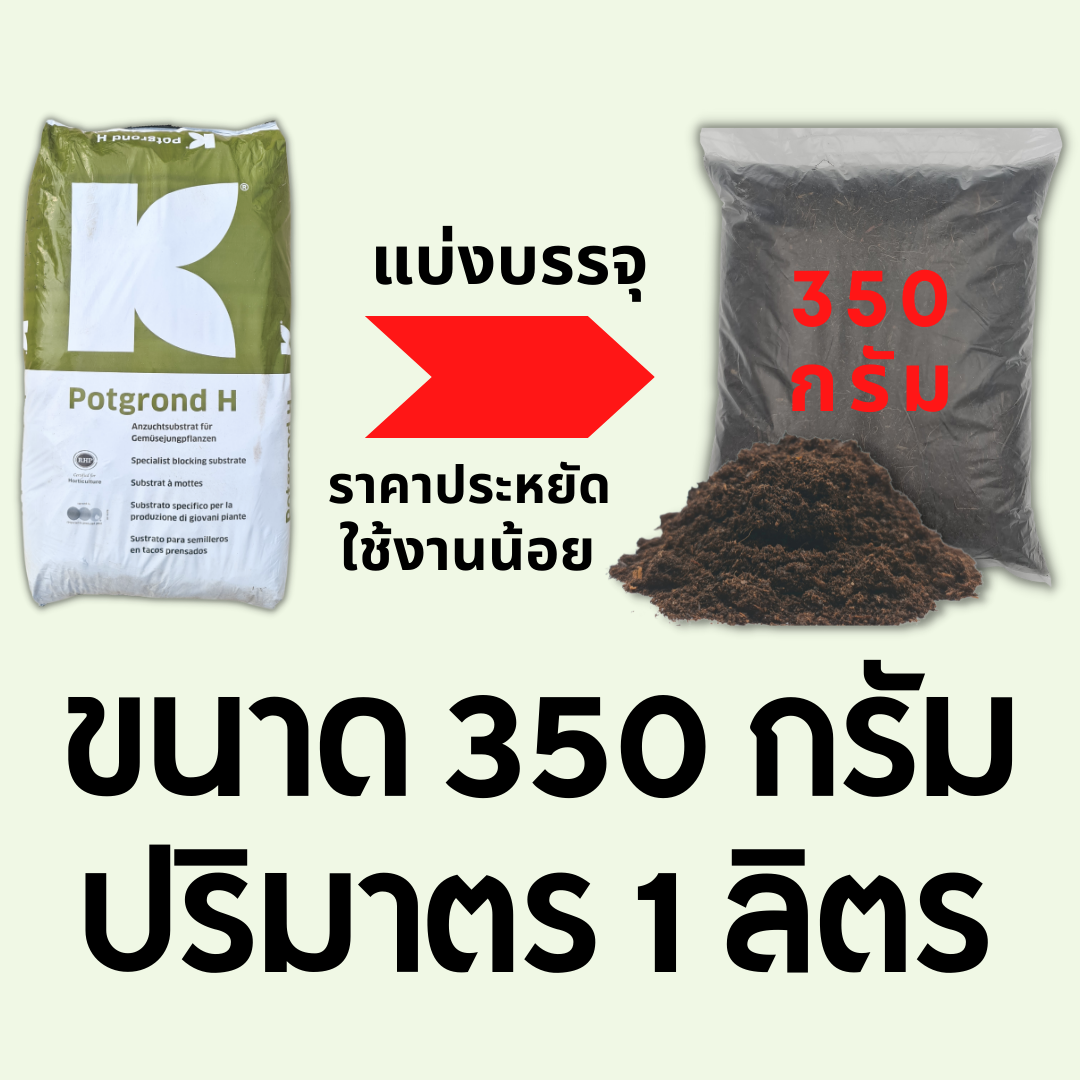 พีทมอส เพาะต้นกล้า ความชื้นสูง กล้างอกดี Potgrond H คลาสแมน (klasmann ...