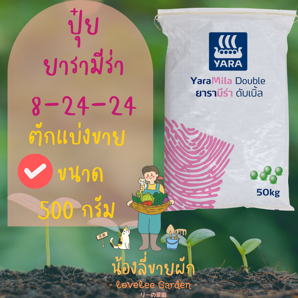 ปุ๋ยเคมี 8-24-24 ปุ๋ยเร่งดอก ปุ๋ยยาร่า มีร่า แบ่งขาย 500กรัม 1กิโล 5 ...