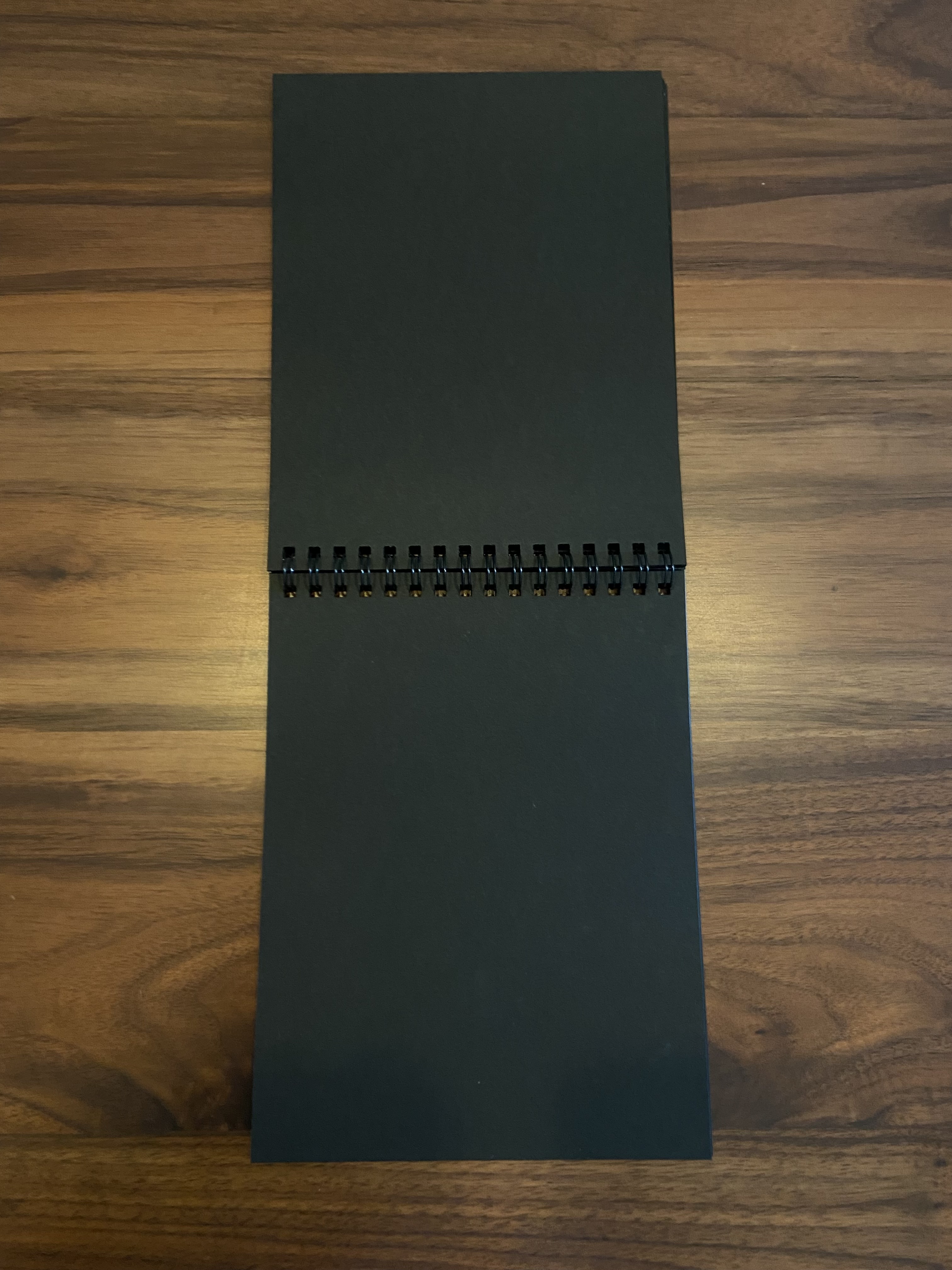 สมุดโน๊ตสันห่วง ปกดำ ไส้ดำ B5, B6 All Black Notebook | Lazada.co.th