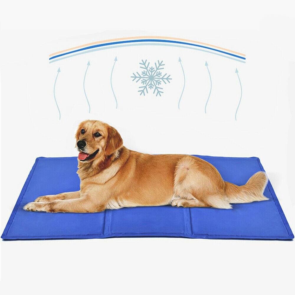 ที่นอนแผ่นเจลเย็นหมาแมว Pet Cool mat ระบายความร้อนได้ดี มี4ขนาด ...