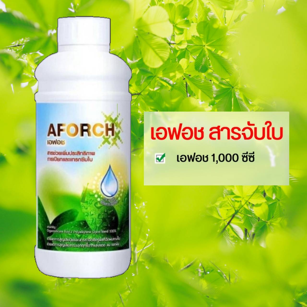 A-Forch เอฟอชสารเสริมประสิทธิภาพพืช(จับใบ) ขนาด 1000 CC - aforch ...