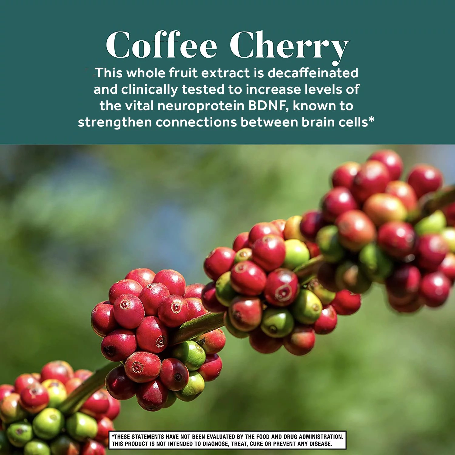 Neuriva De-Stress Brain Health Supplement 30 count Brain Support ...