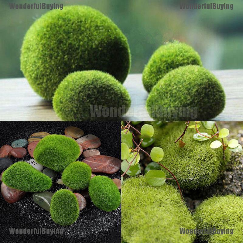 Marimo Moss Balls Artificial Grass Stones Turf Mini Fairy Garden Micro ...