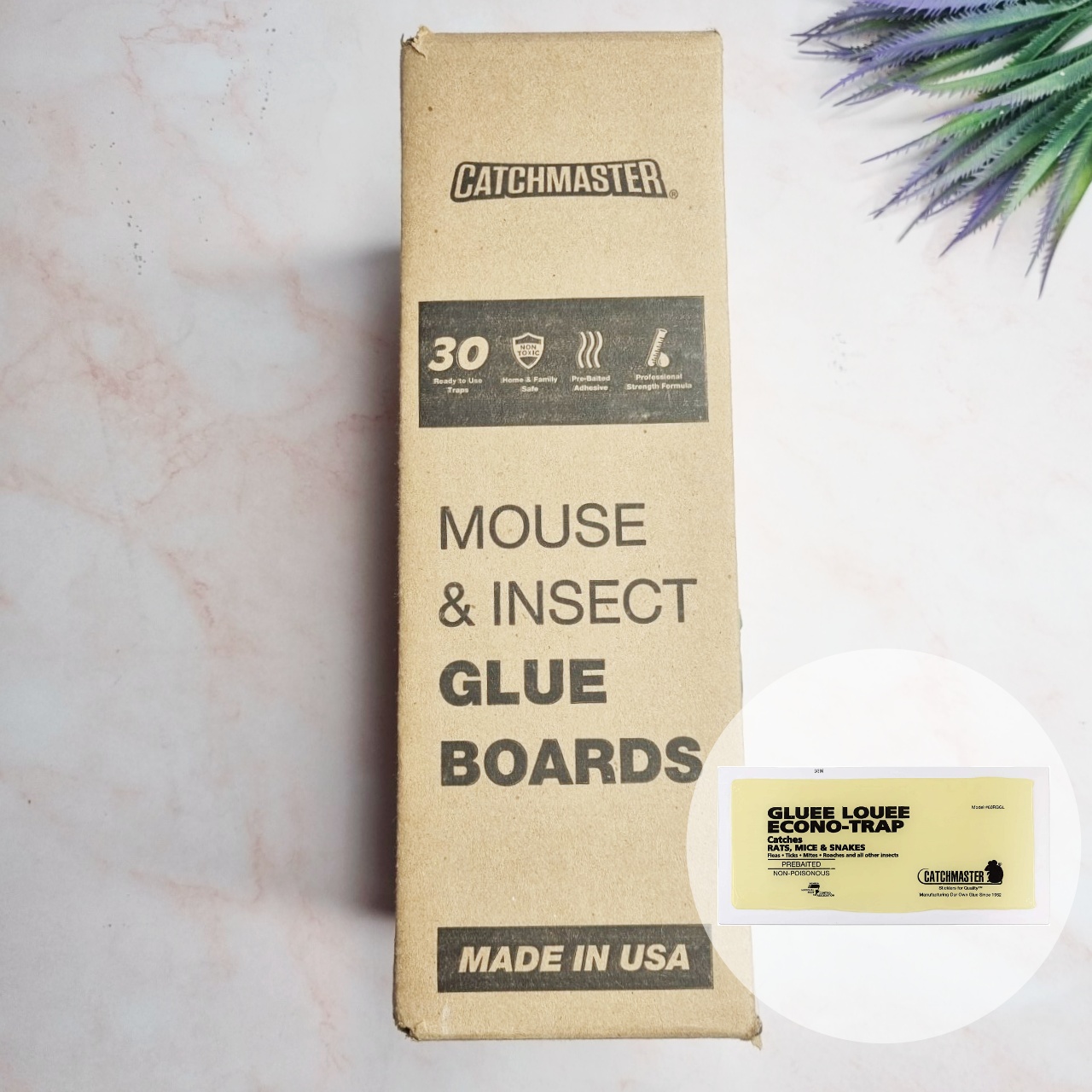 กับดักหนู และแมลง แผ่นกาวดักหนู กาวดักหนู ขนาด 12 x 6 Gluee Louee Mouse ...