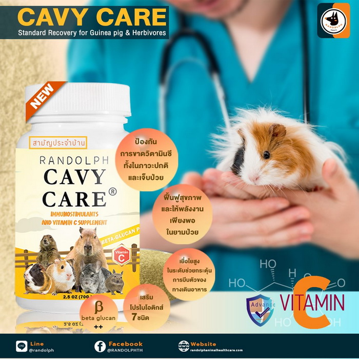 Randolph Cavy Care เควี่แคร์ ฟื้นฟูบำรุงสัตว์กินพืชขนาดเล็กที่ไม่สามารถ ...