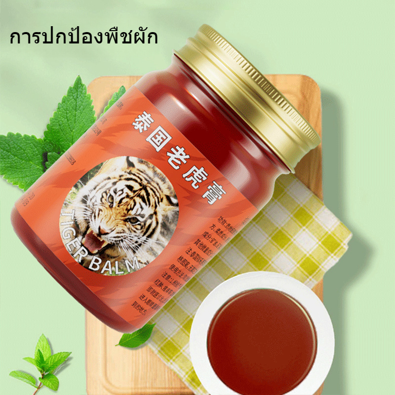 Thailand Tiger Cream Genuine Goods Original Golden Tiger Oil Anti ...