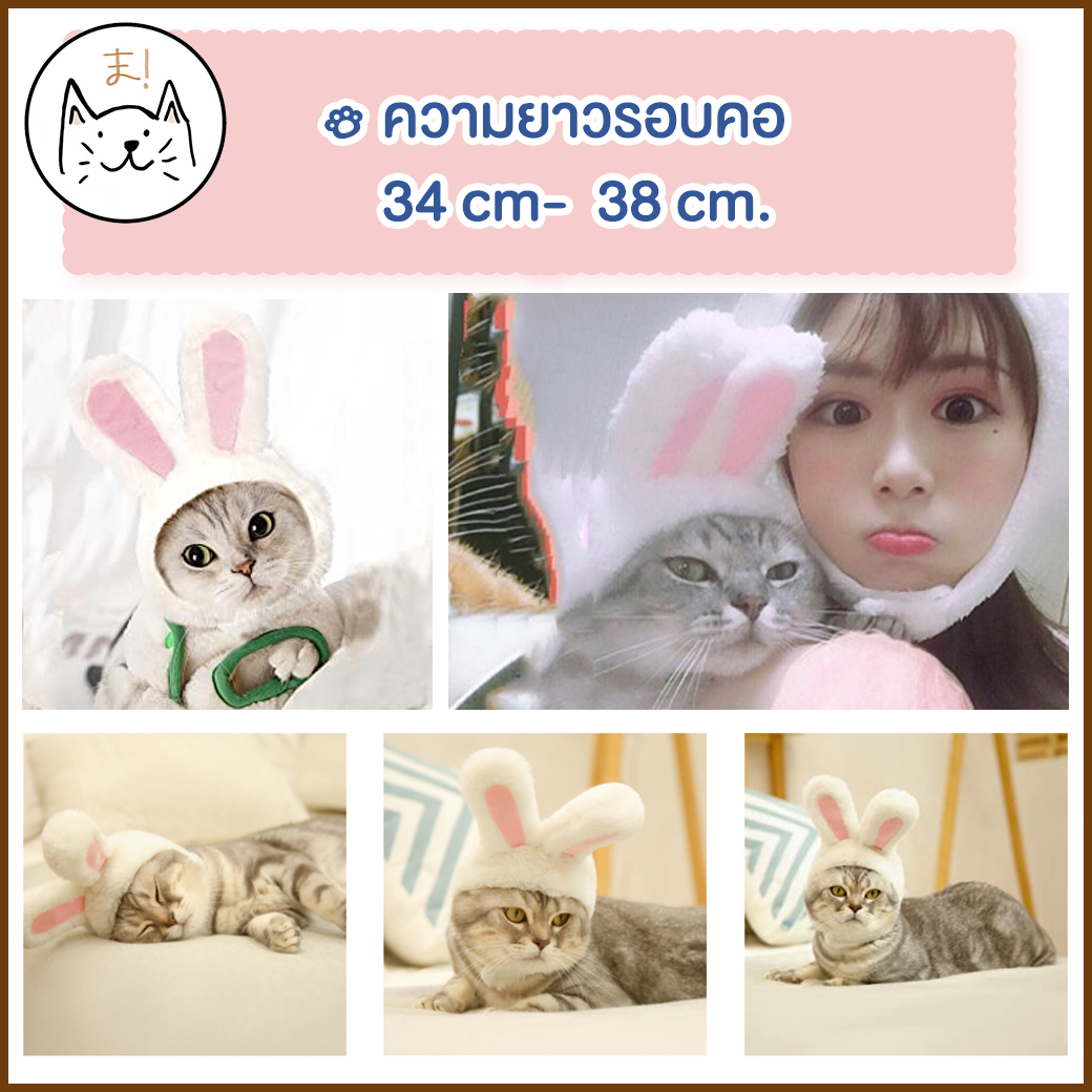 KUMA ま หมวกแมว หมวกหูกระต่าย หมวกสัตว์เลี้ยง หูกระต่าย น้องแมว น้องหมา ...