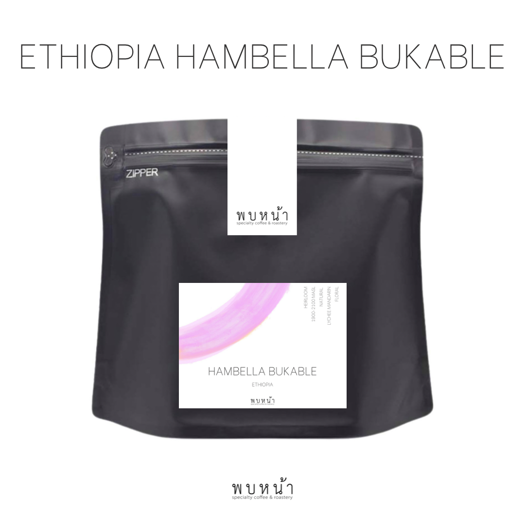 Pobnar เมล็ดกาแฟ Ethiopia Hambella Wamena Bukable | Lazada.co.th