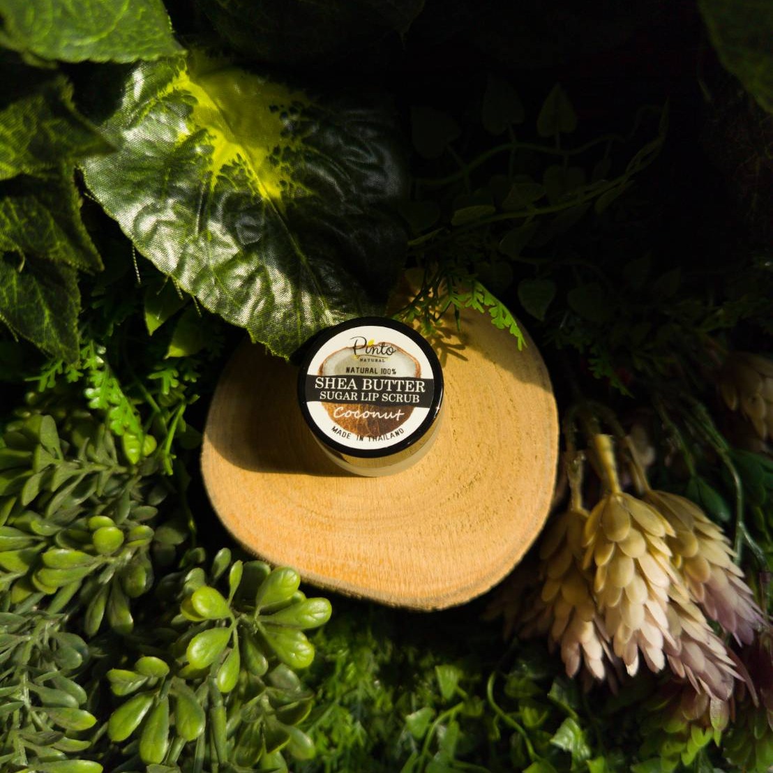Pinto Natural สครับน้ำตาลผสมเชียร์บัตเตอร์ เพื่อริมฝีปากเนียนนุ่ม ไม่ ...