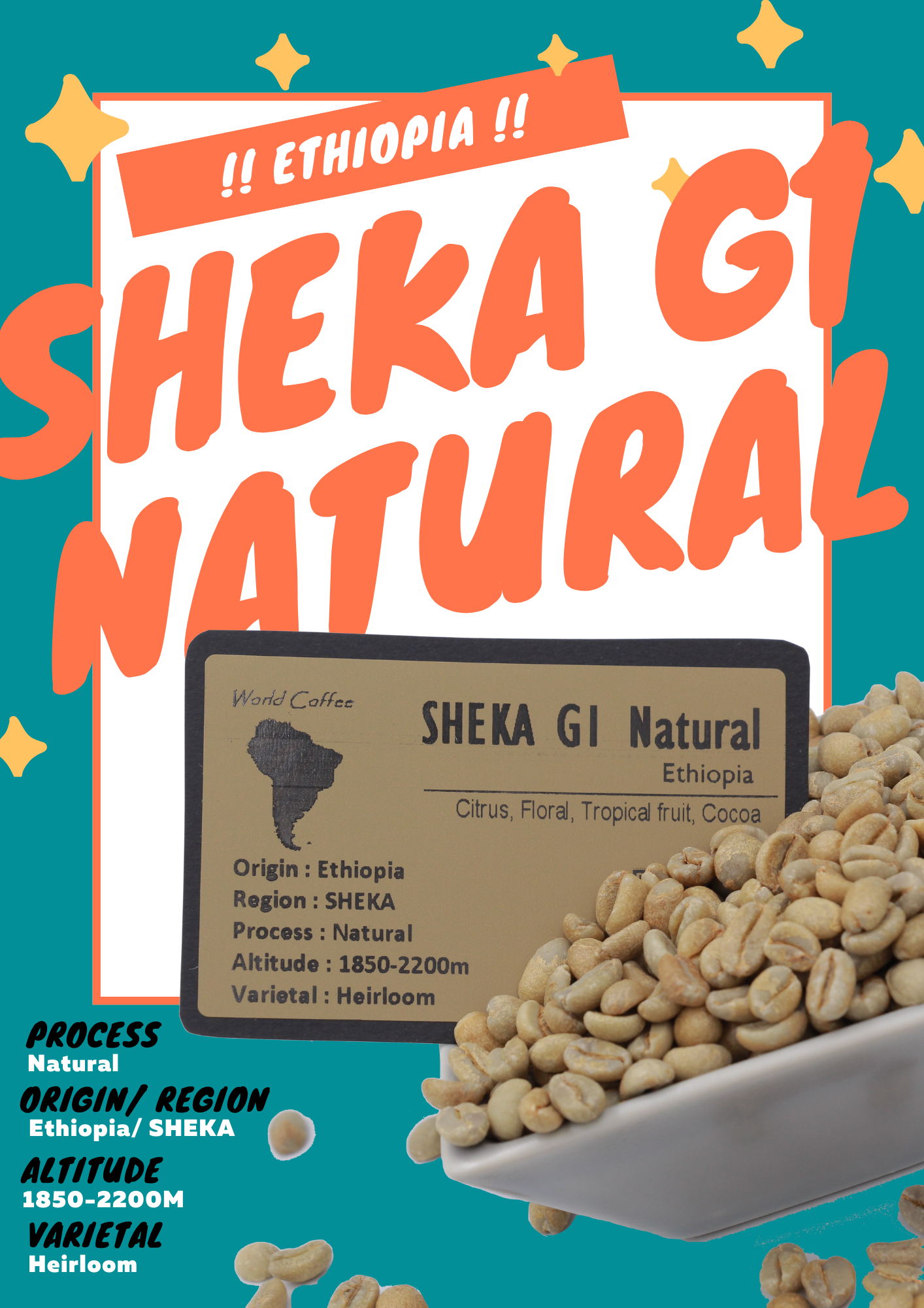 พร้อมส่ง เมล็ดกาแฟดิบ SHEKA G1 Natural process/ เมล็ดกาแฟนอก/ เมล็ดกาแฟ ...