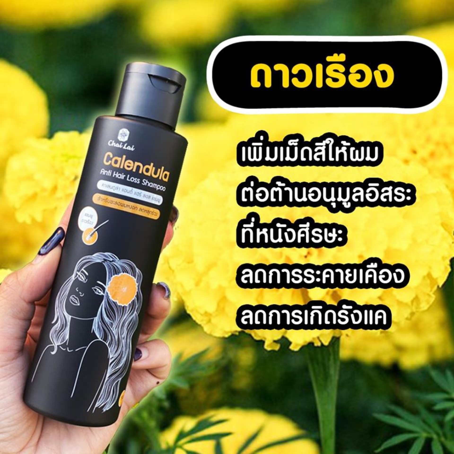 แชมพูดาวเรือง ไฉไล Chai lai Calendula Hair Shampoo ( 150 ml. ) [ ใช้ ...