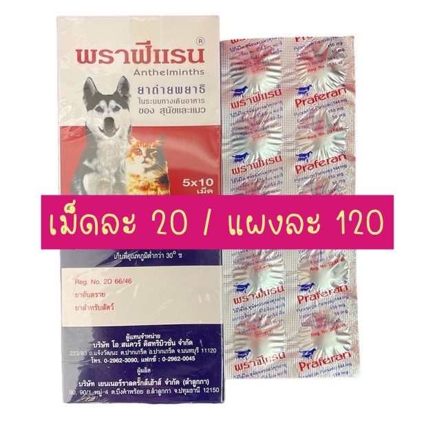 Praferan พยาธิหมา/แมว - บ้านเท้าปุย - ThaiPick